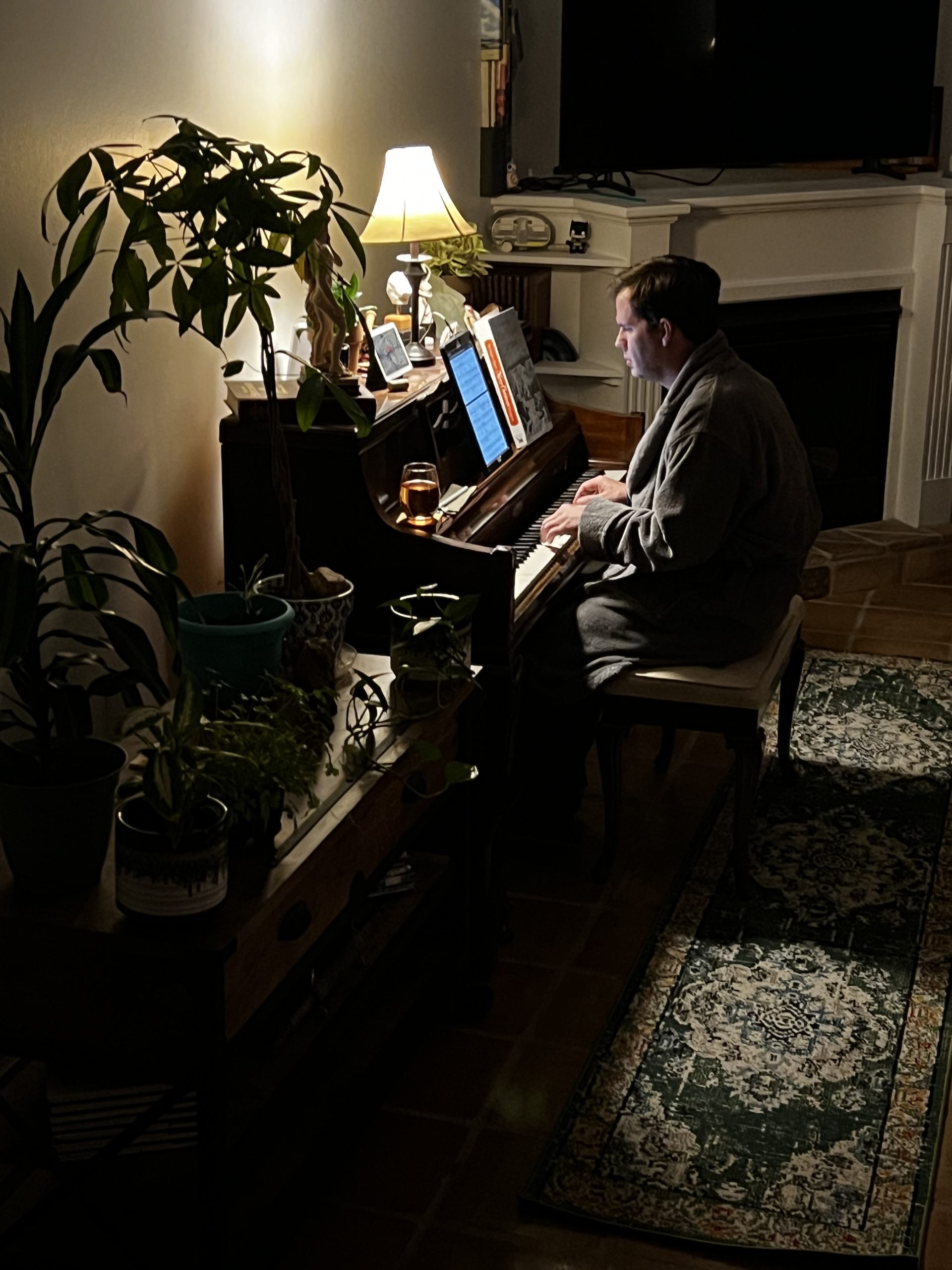 Instrumentalist - Scottinabox