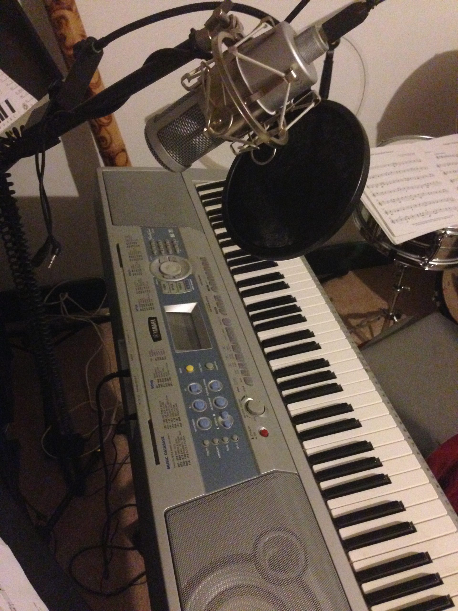 Instrumentalist - Scottinabox